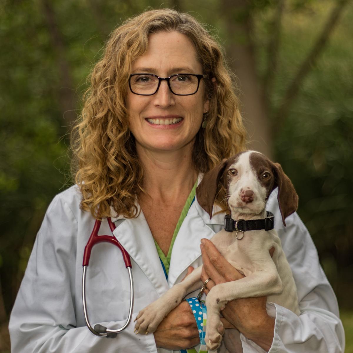 Veterinary Team - Humane Society of Boulder Valley