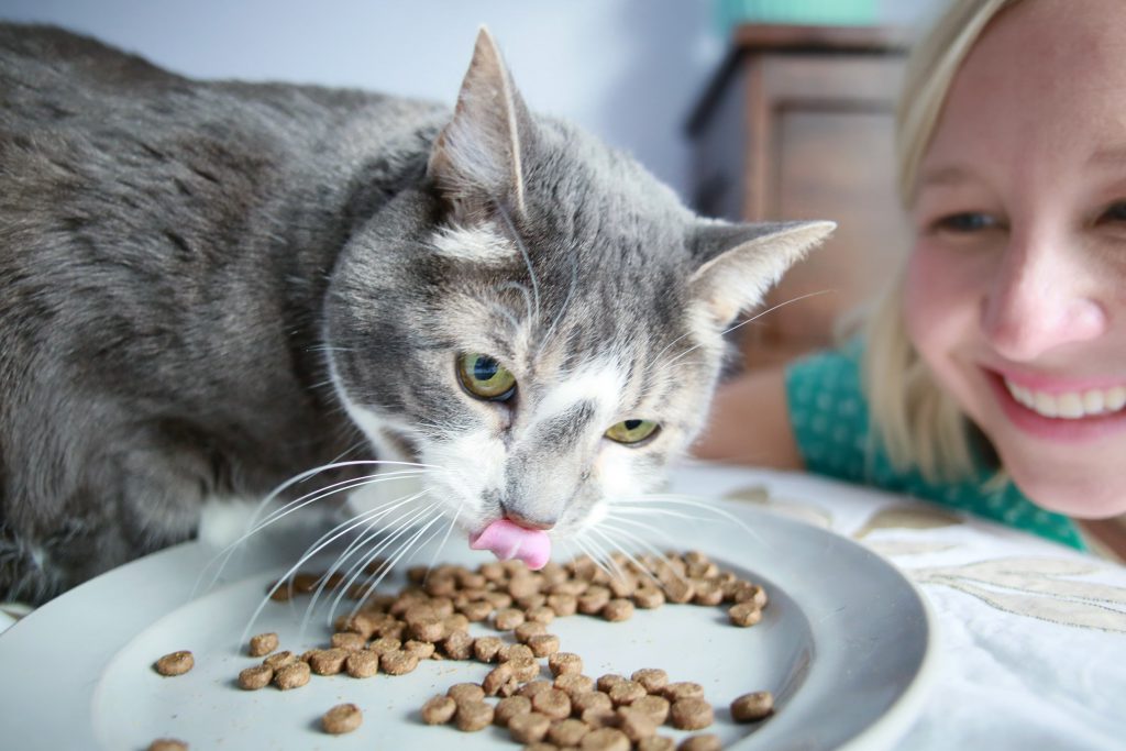 Stay-at-home orders and separation anxiety - Humane Society of Boulder ...