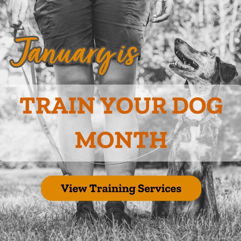 Homepage - Humane Society of Boulder Valley