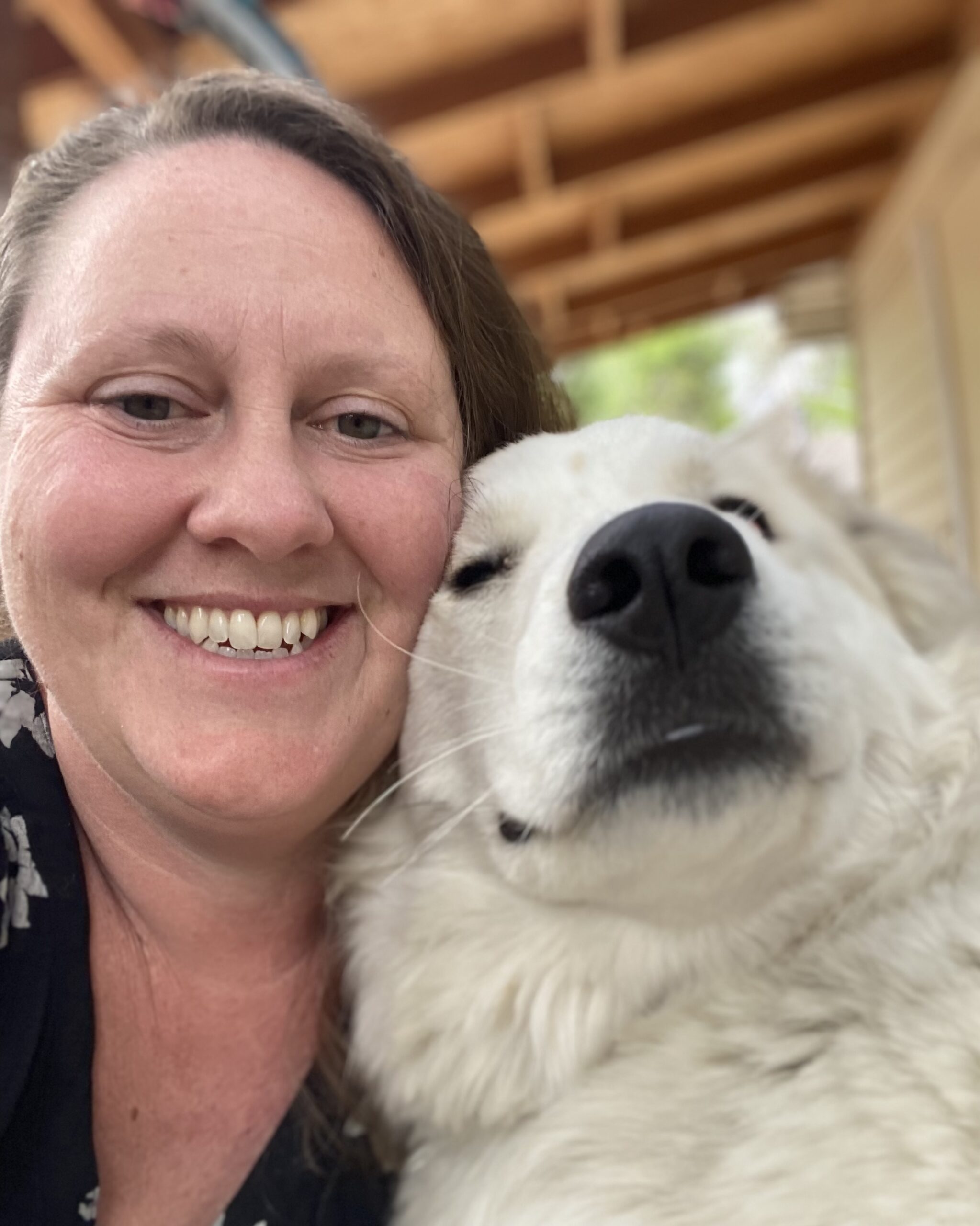 Haley Tripp-Fire, MSW, LSW, AASW, KPA CTP - Humane Society of Boulder ...